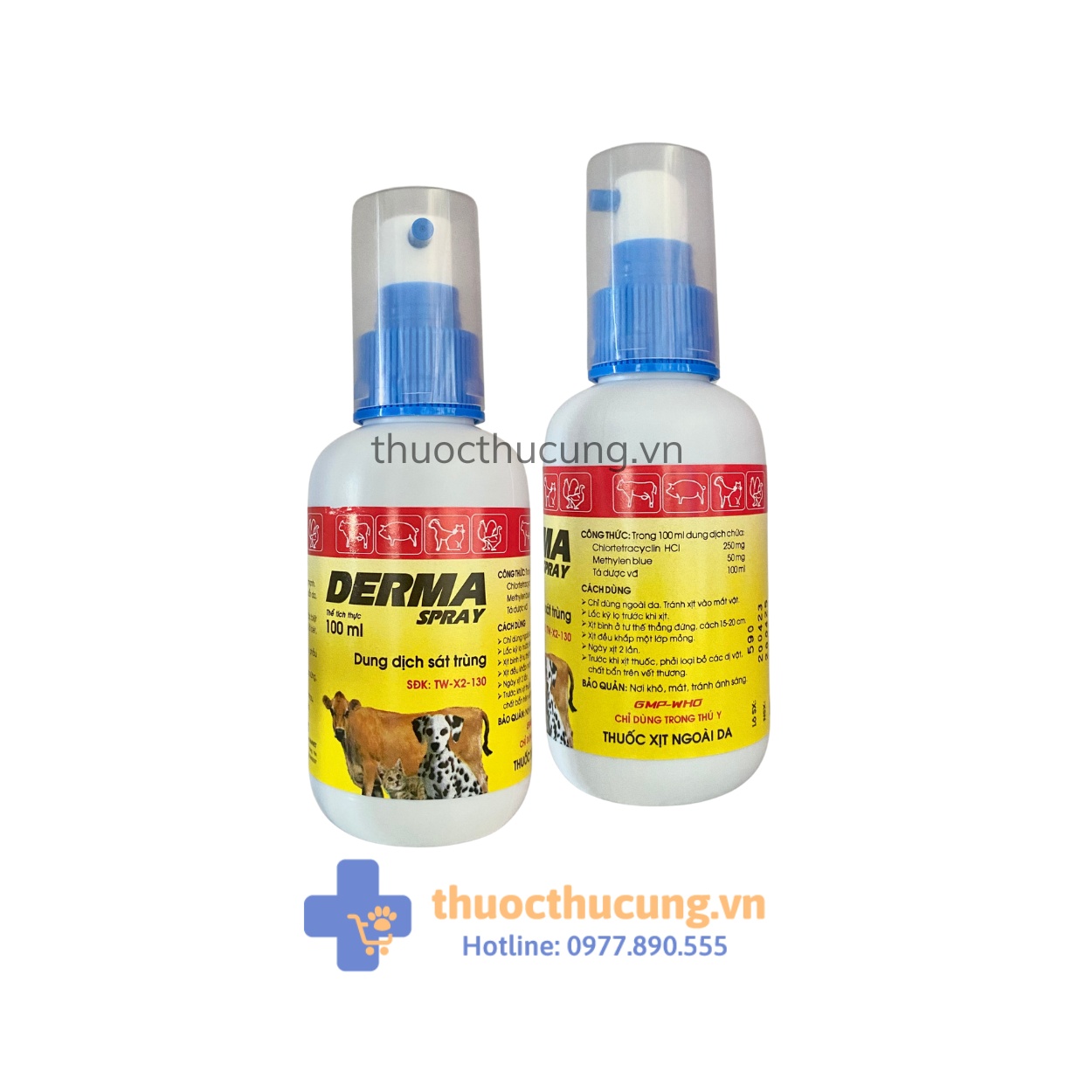 DERMA SPRAY 100ml