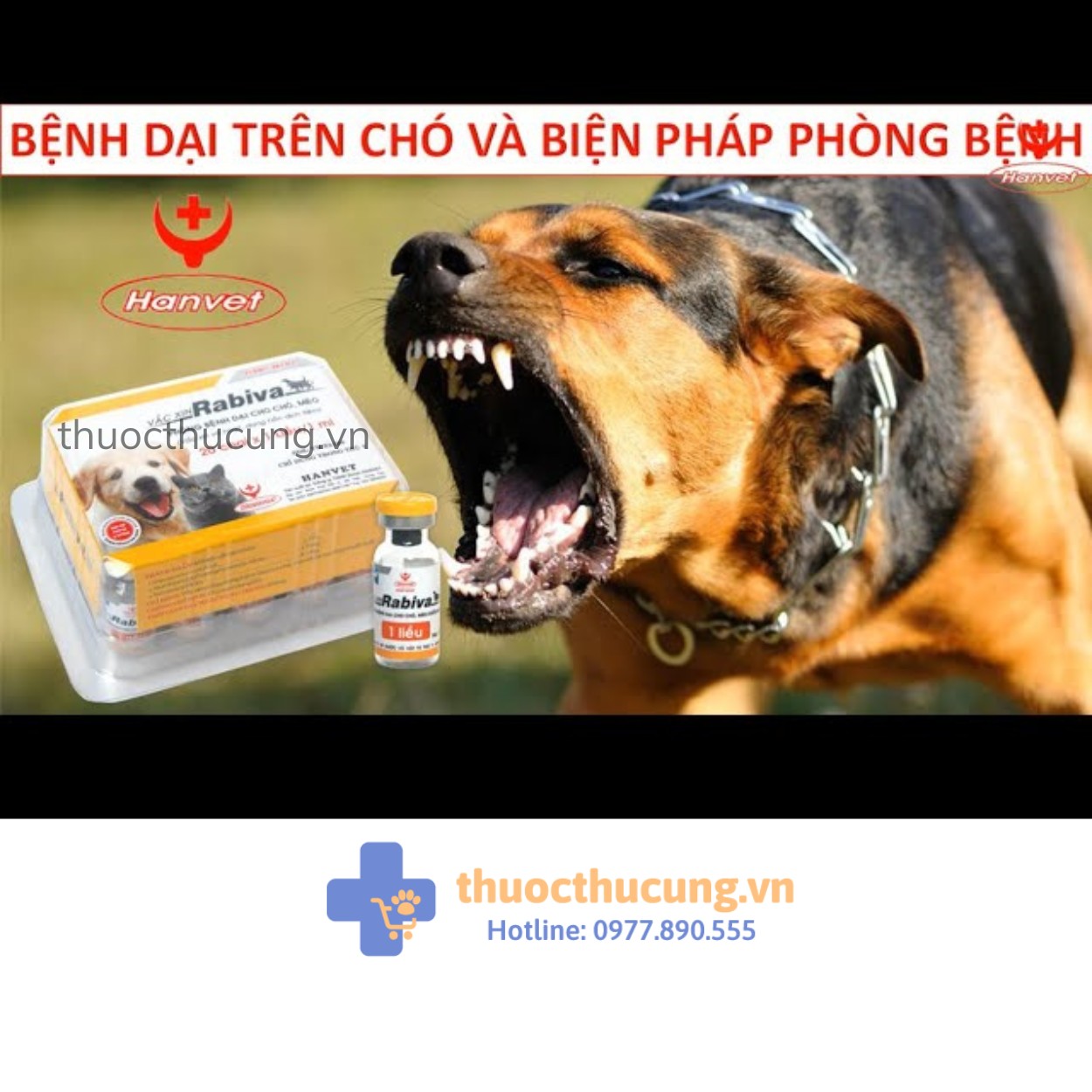 VẮC XIN RABIVA ( Dại)