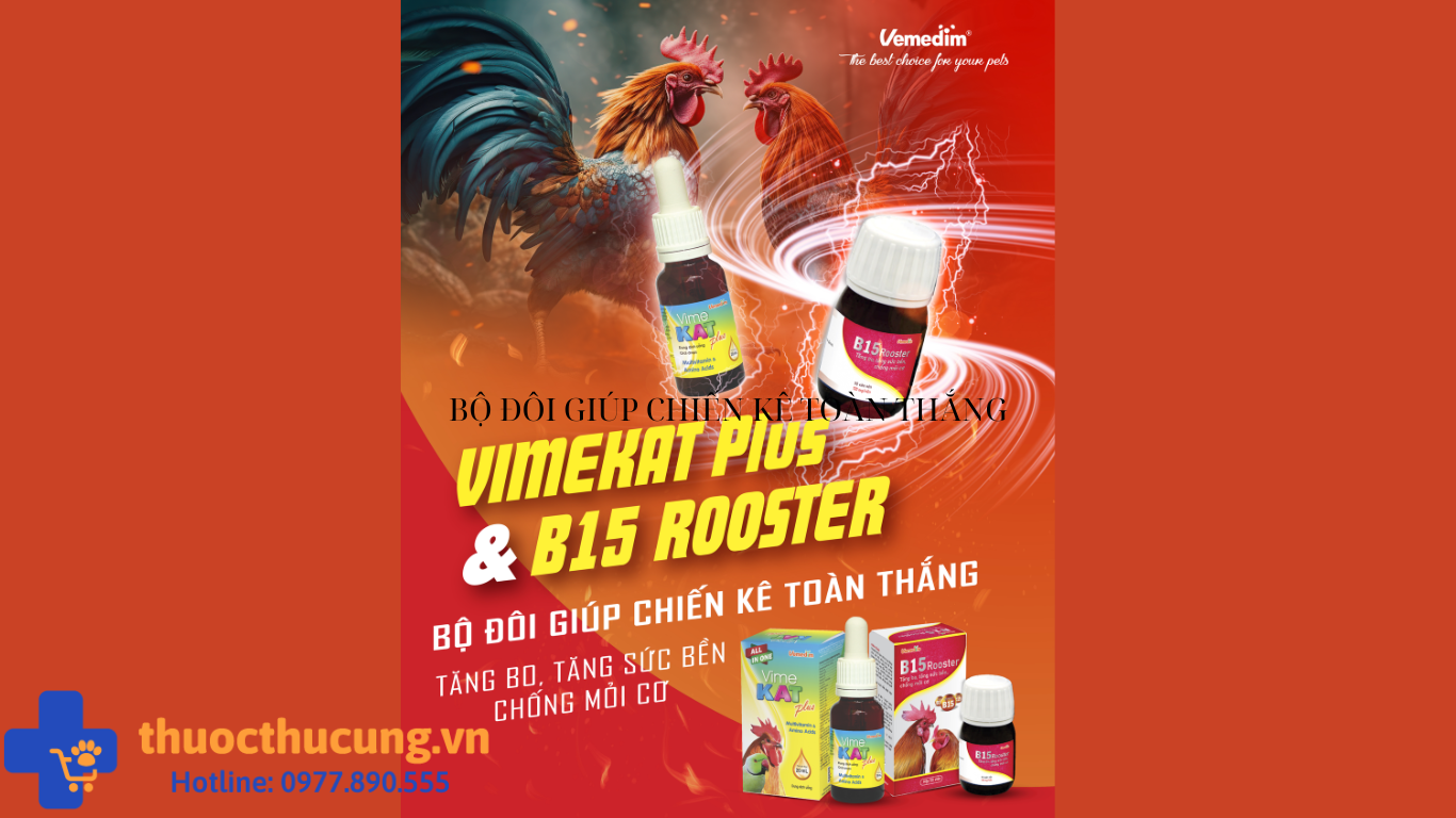 COMBO VIMEKAT PLUS & B15 ROOSTER: BỘ ĐÔI GIÚP CHIẾN KÊ TOÀN THẮNG