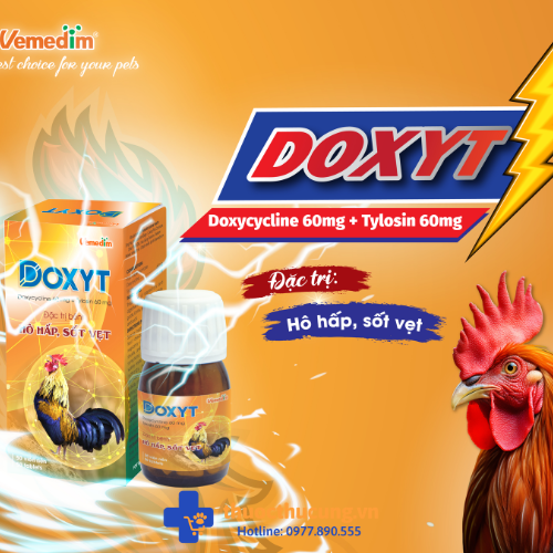 Doxyt (gà chọi) Hộp 50 viên